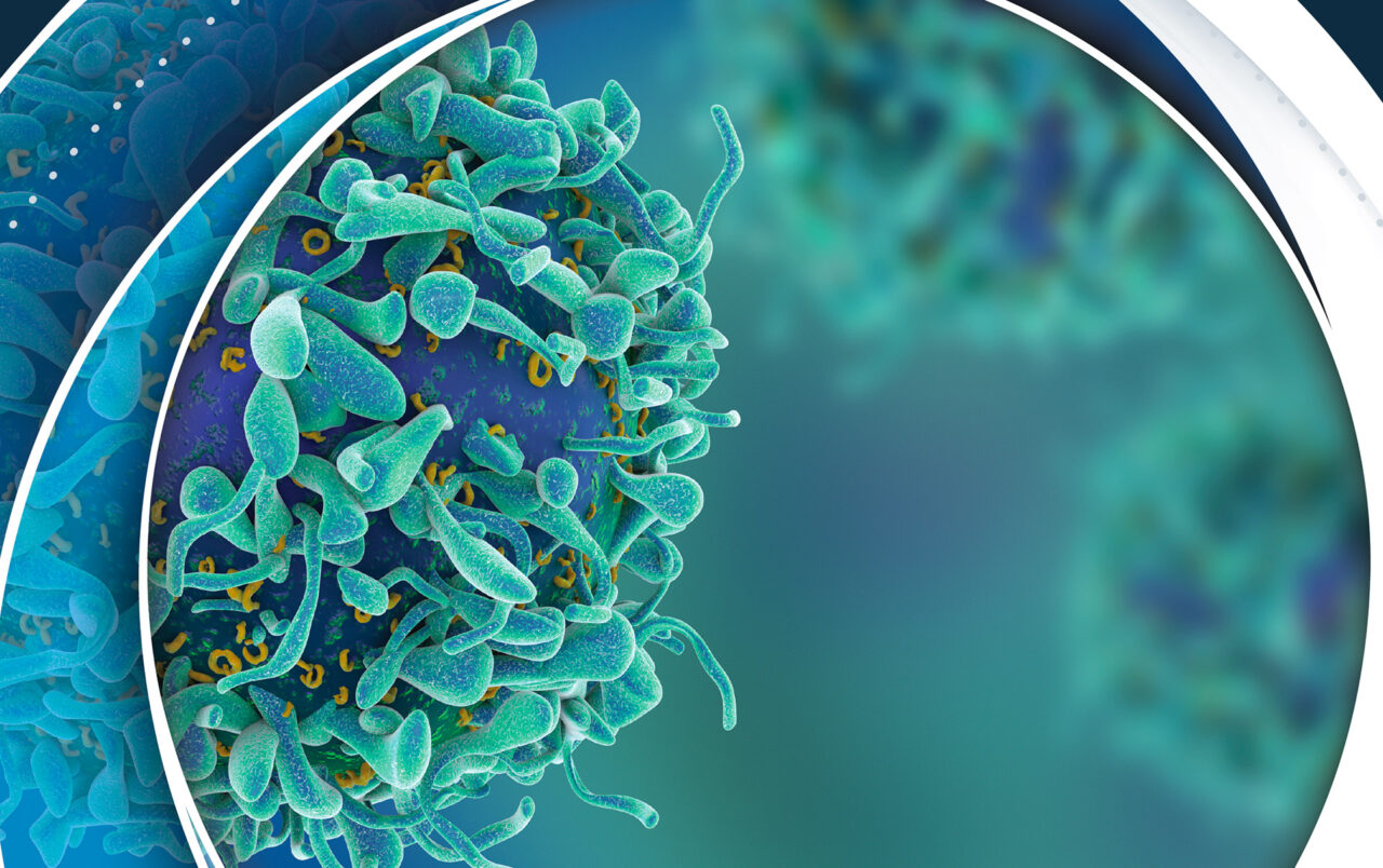 Washington CORE - National Cancer Center (NCC) at Kashiwa-no-ha Smart ...